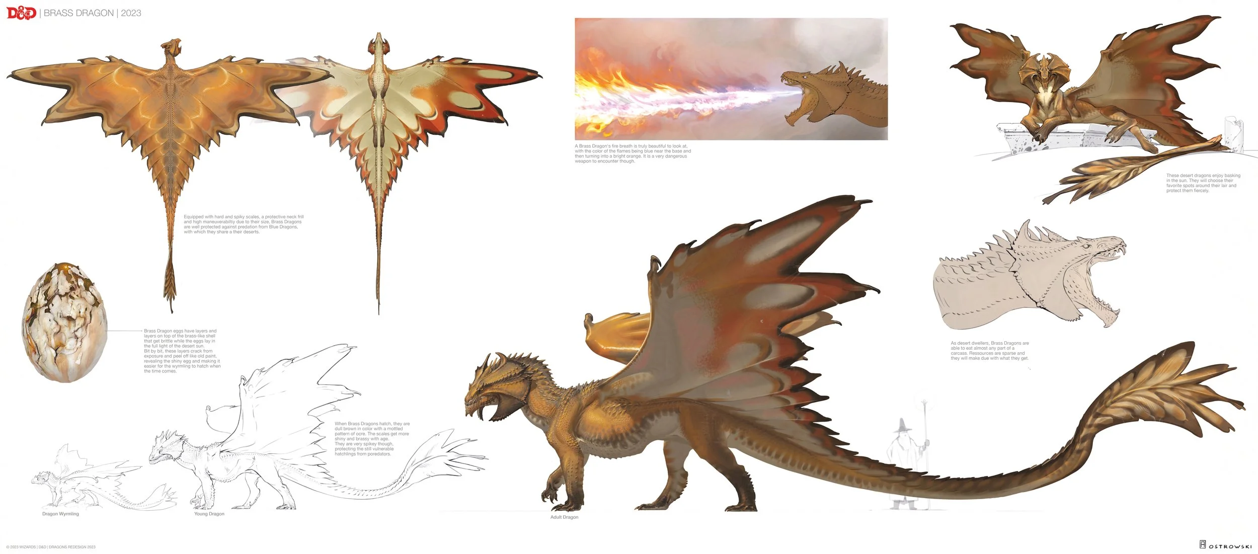 D&D 2024 metallic dragons — alexander ostrowski — alexander ostrowski