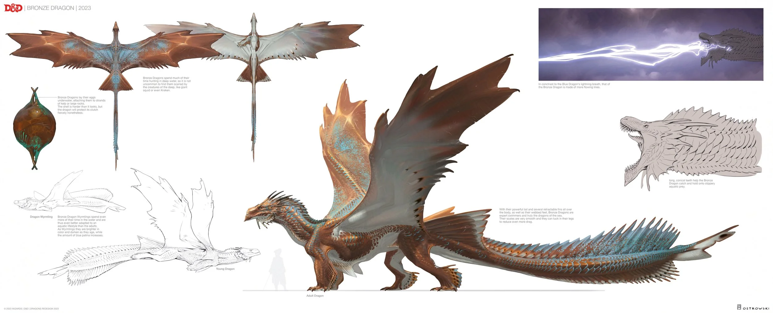 D&D 2024 metallic dragons — alexander ostrowski — alexander ostrowski