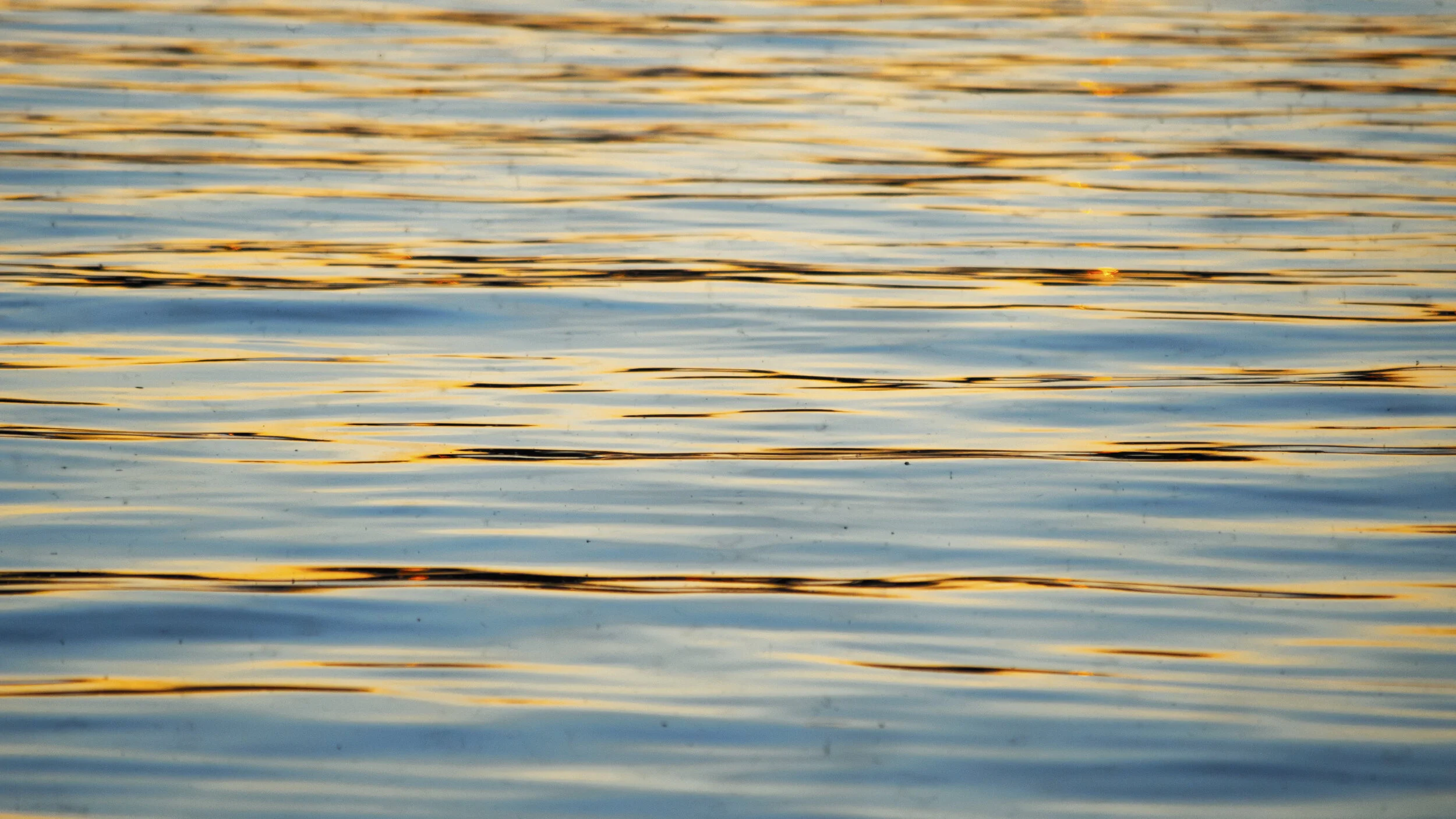 Services 2 — Upwell Water