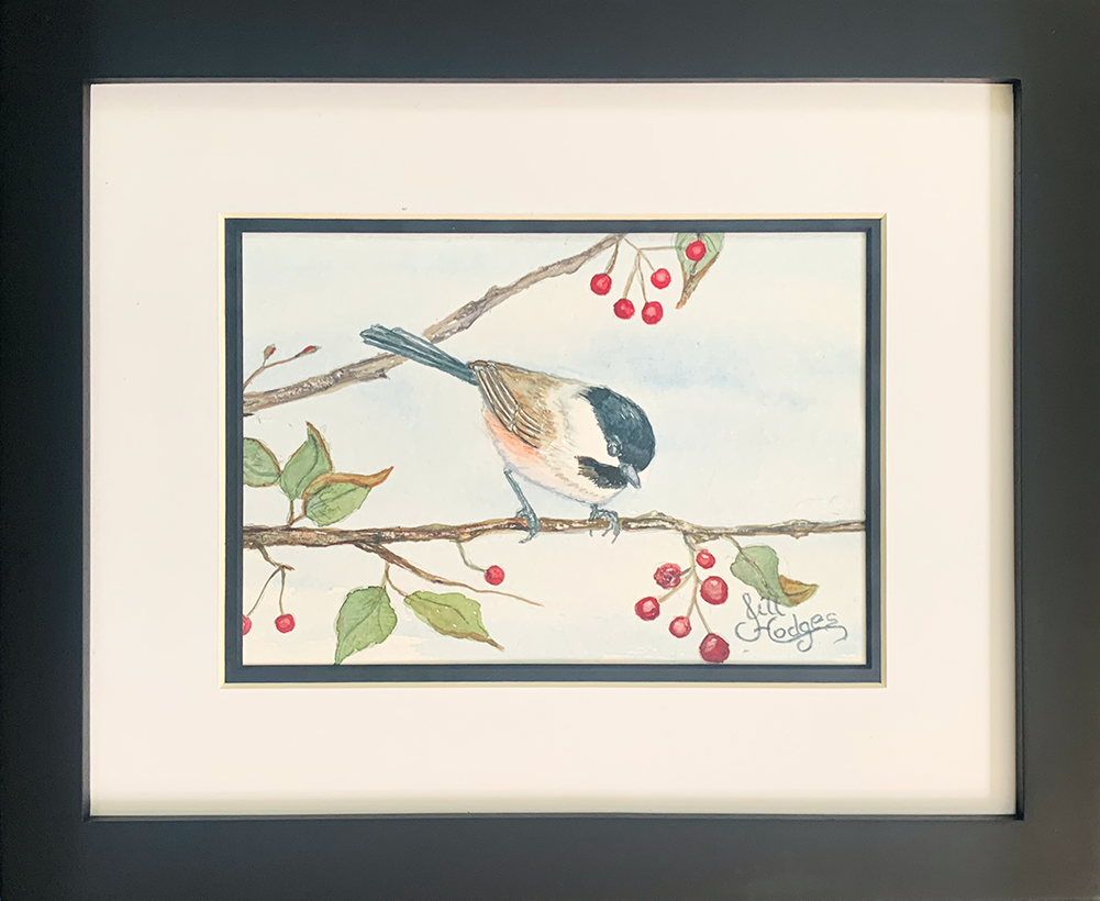 Summer Chickadee — Mountain West Gallery