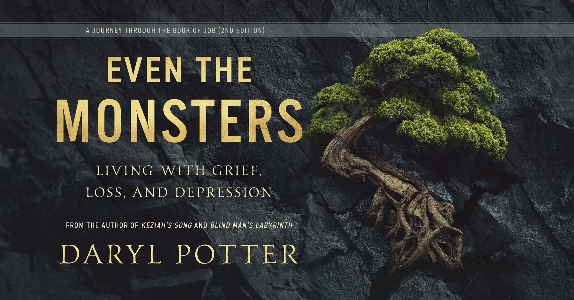 Even the Monsters. Living with Grief, Loss, and Depression — Daryl Potter
