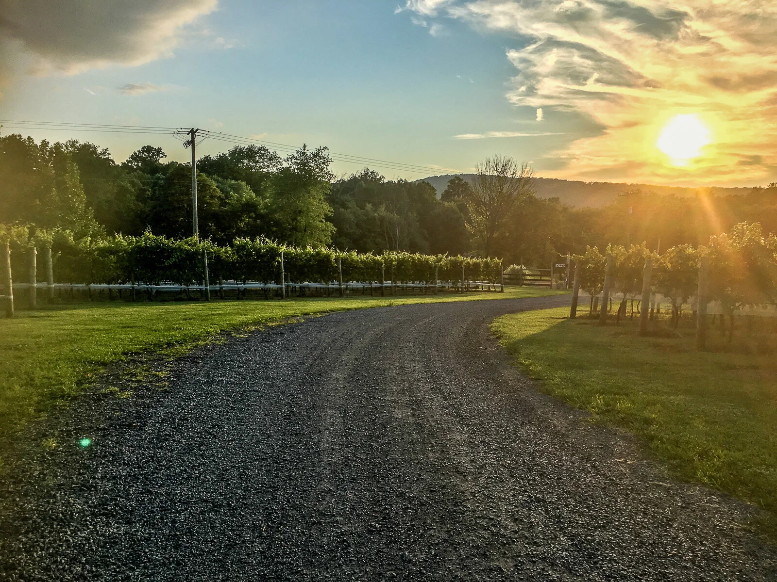 Two Twisted Posts Winery Vineyard Tasting Room