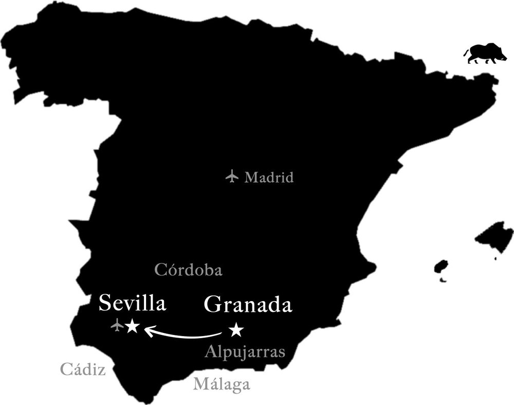 The Essence of Southern Spain | Guided By Jorge | Guided-By.com ...