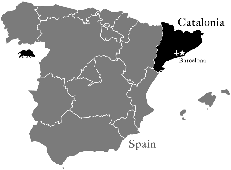 Catalonia | Guided By Jorge Román | Small-Group Tour in Barcelona ...