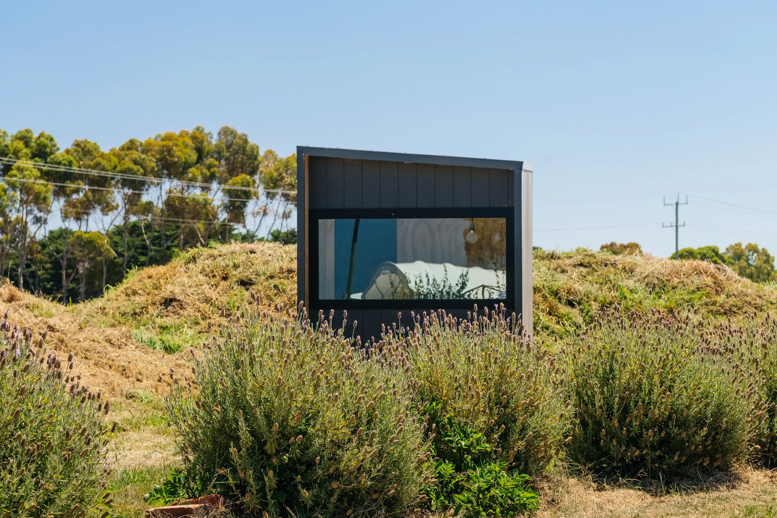 Common Ground Project