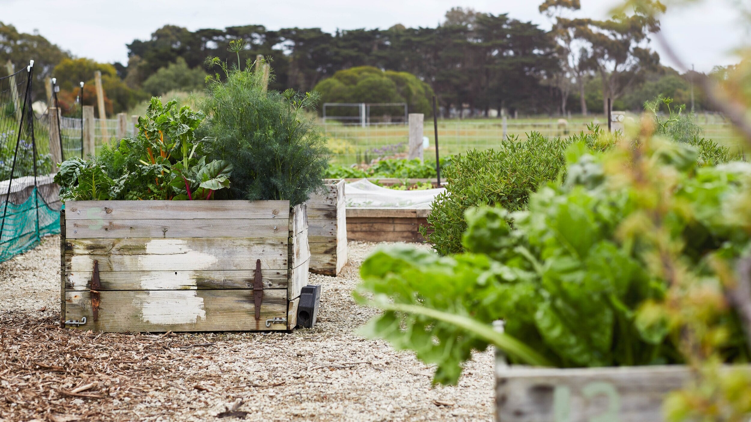 Common Ground Project