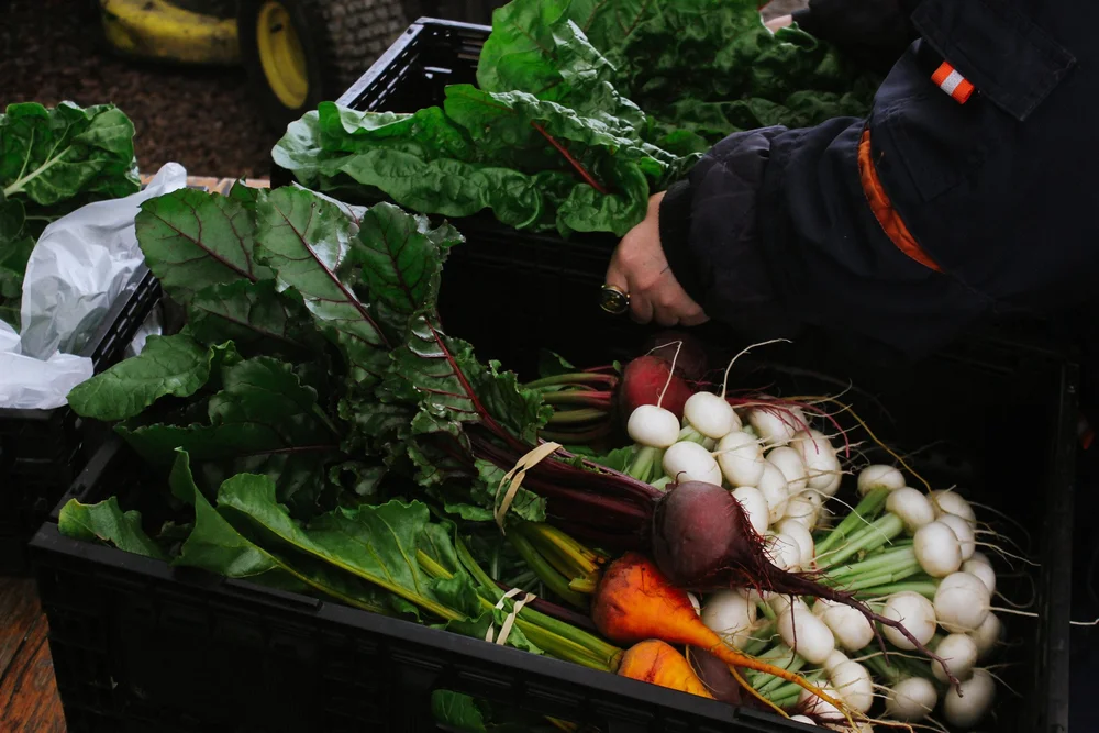 Veg Boxes — Common Ground Project
