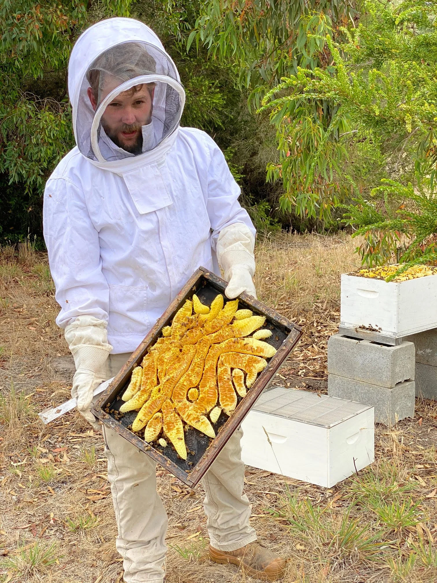 Alexandra and Sam from Warriwillah Farm - Part 2: Small-Scale Beekeeping — Common Ground Project