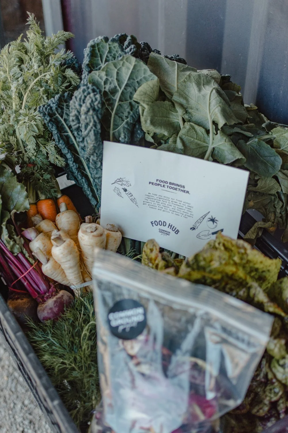 Common Ground Project