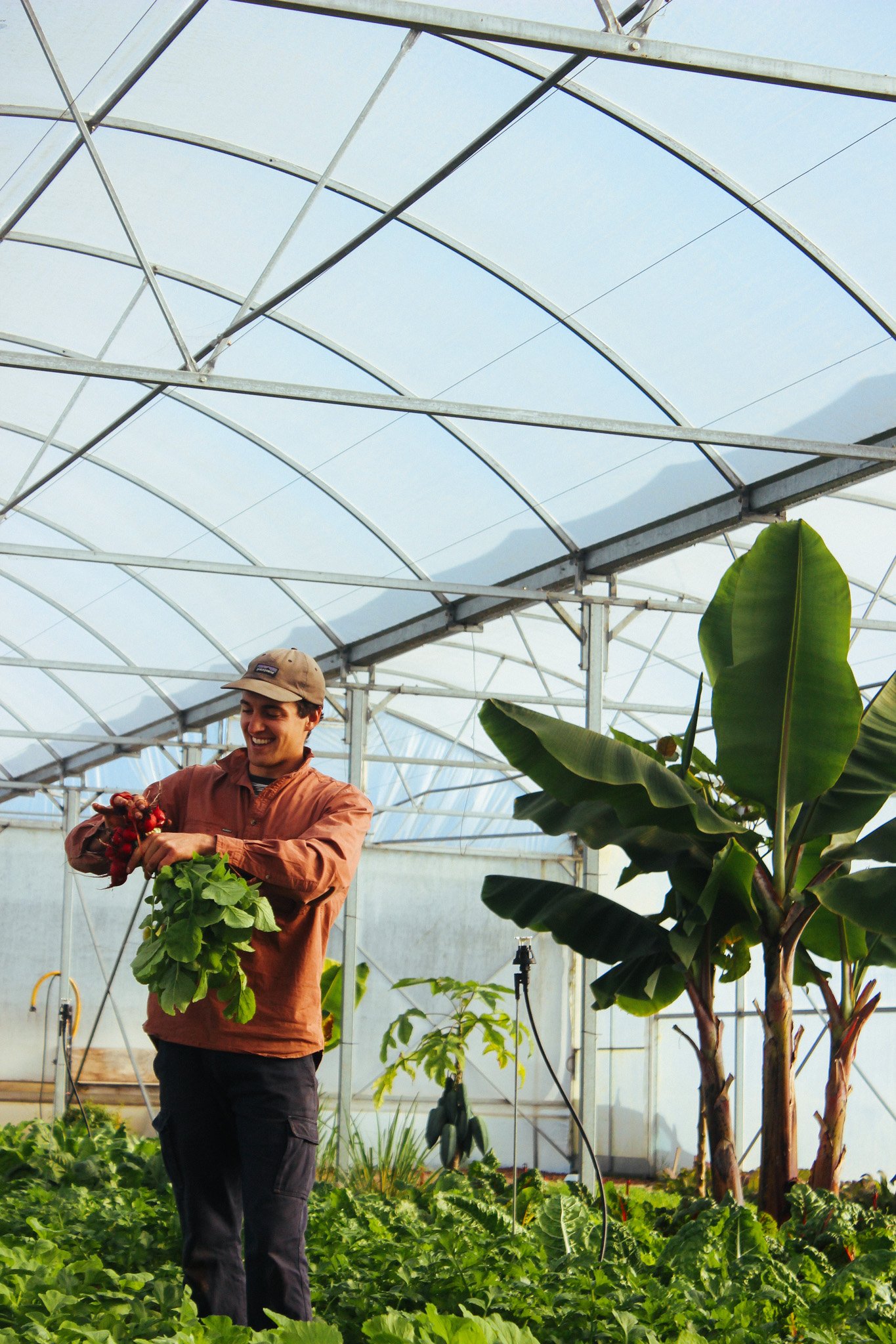 Fraser Telfer — Common Ground Project