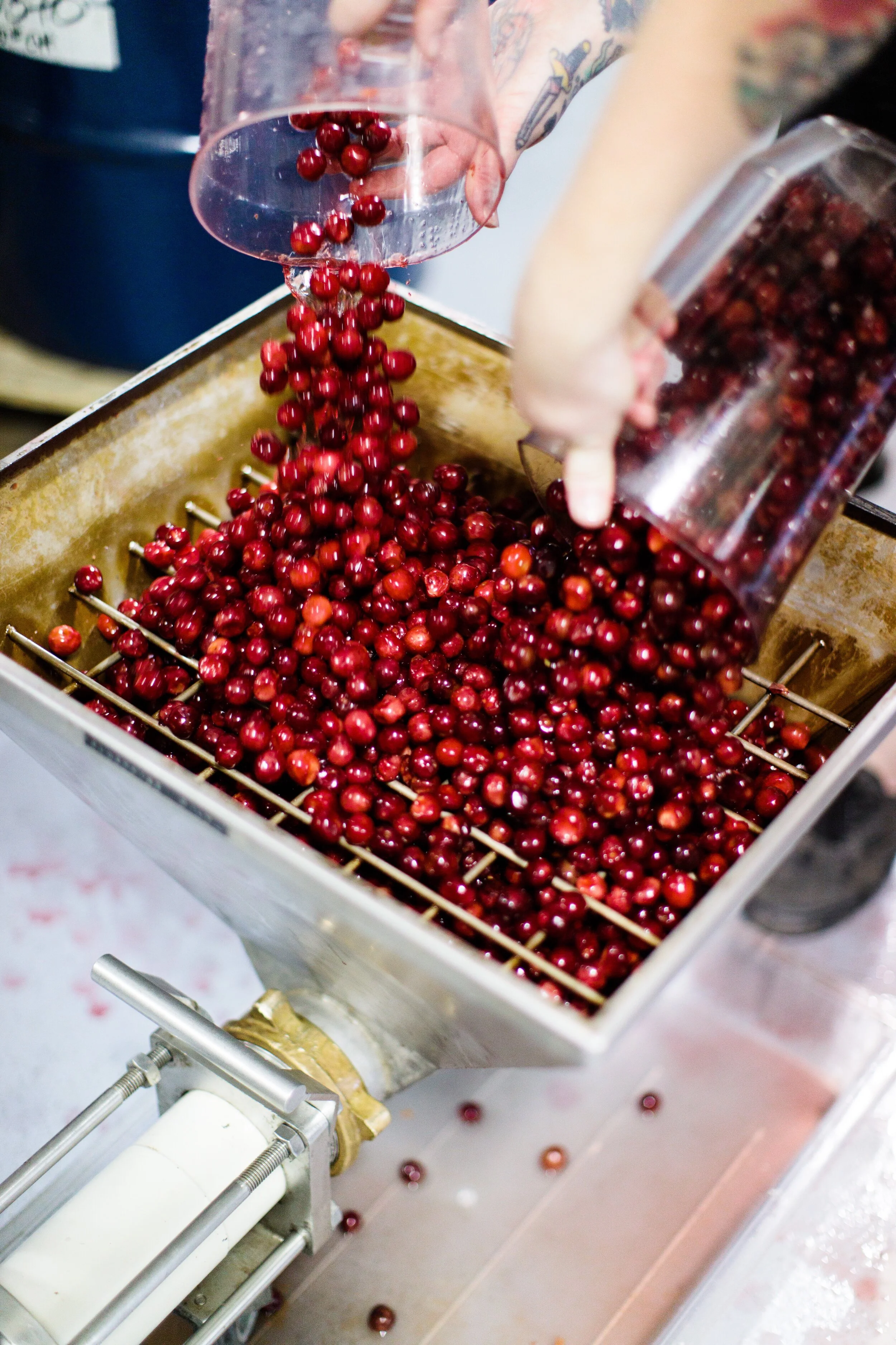 Cherry Brandy — Rhine Hall Distillery