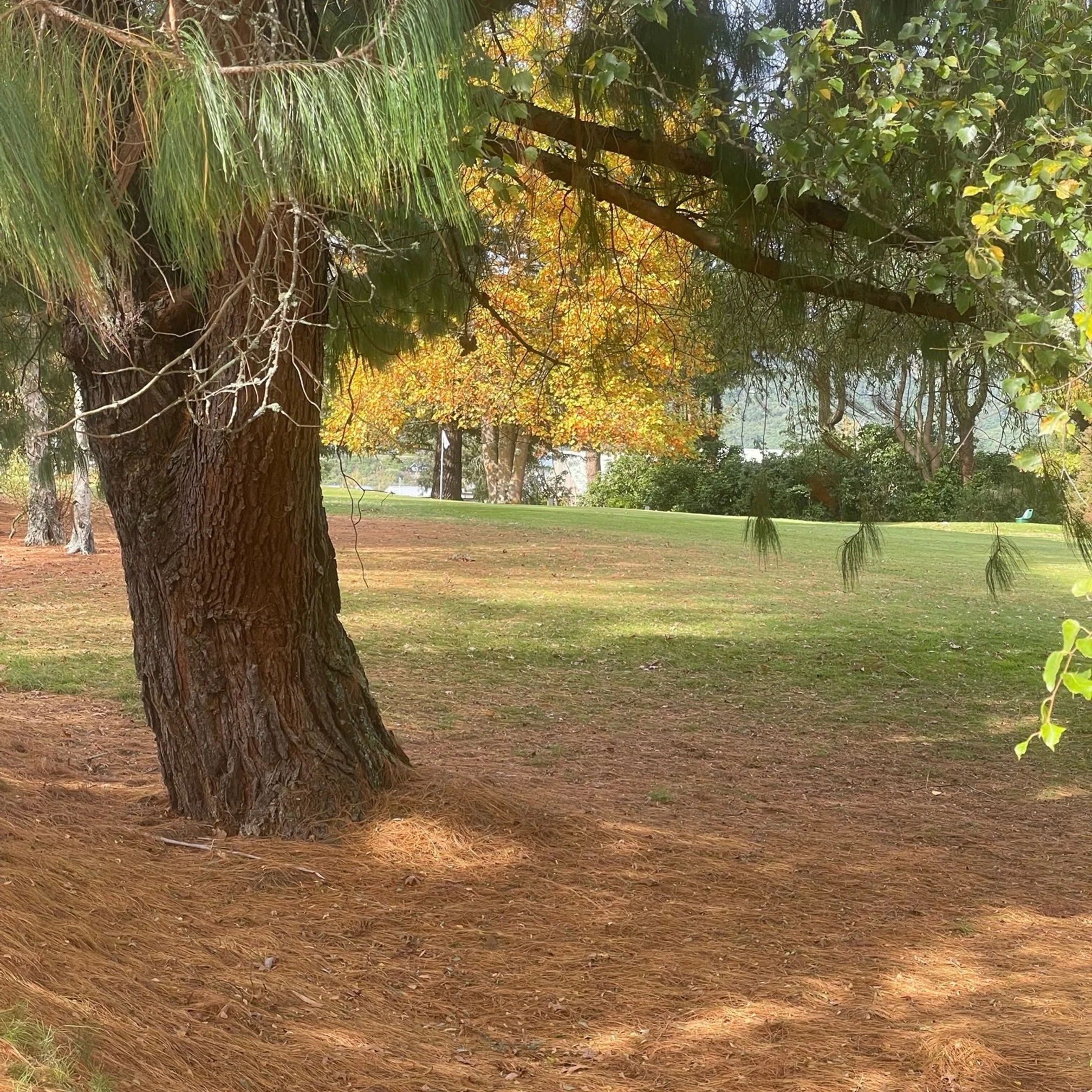 Kinloch Village Golf Club - Golf Course Kinloch