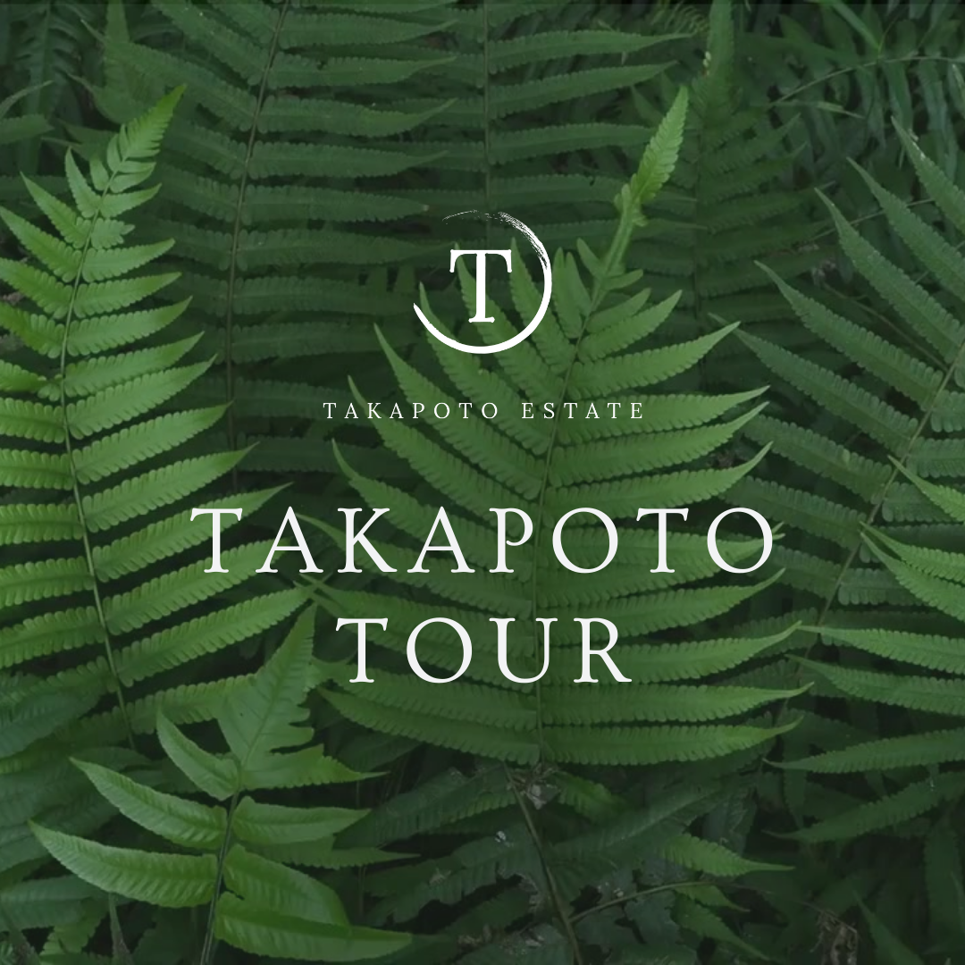 Takapoto Tour Bookings — Takapoto Estate