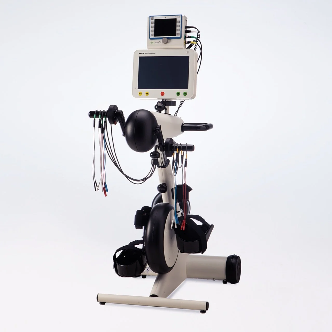 Lower Limb Rehabilitation Solutions — Anatomical Concepts