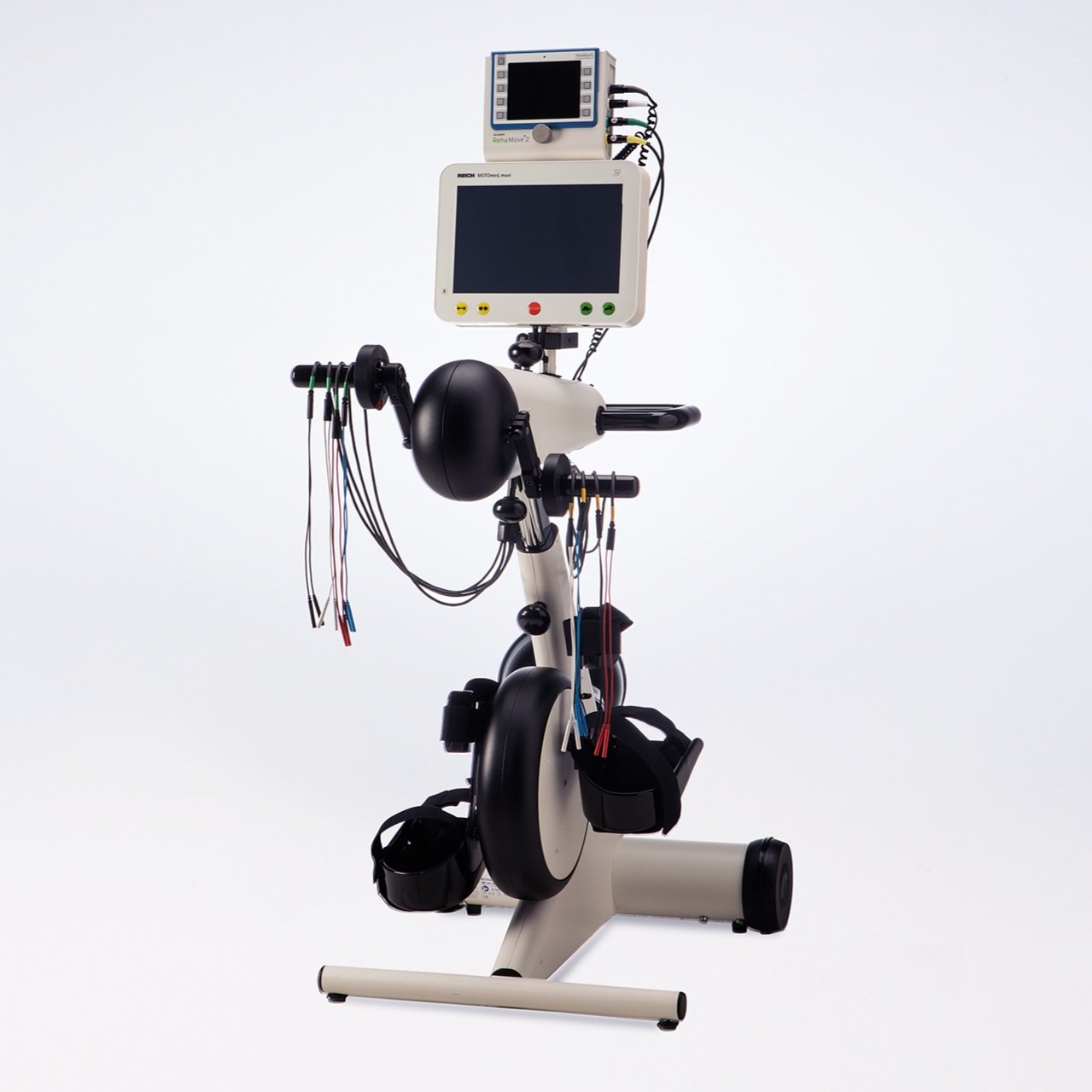 Lower Limb Rehabilitation Solutions — Anatomical Concepts