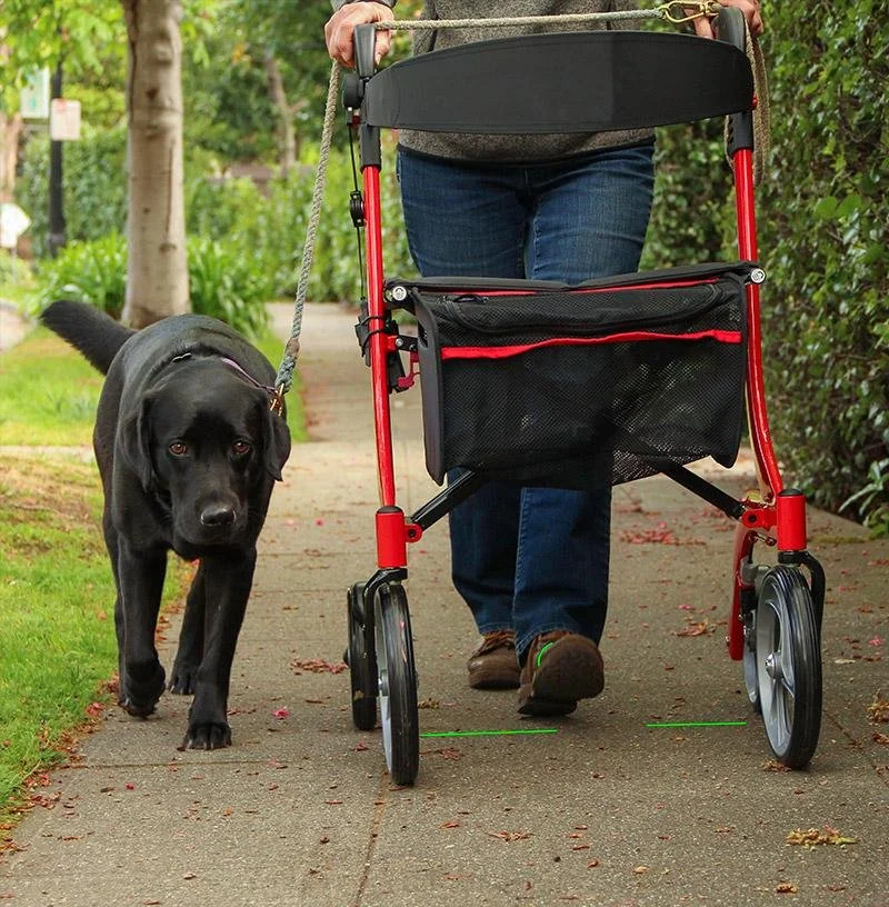 NexStride - Overcome Parkinsons Gait Freezing — Anatomical Concepts