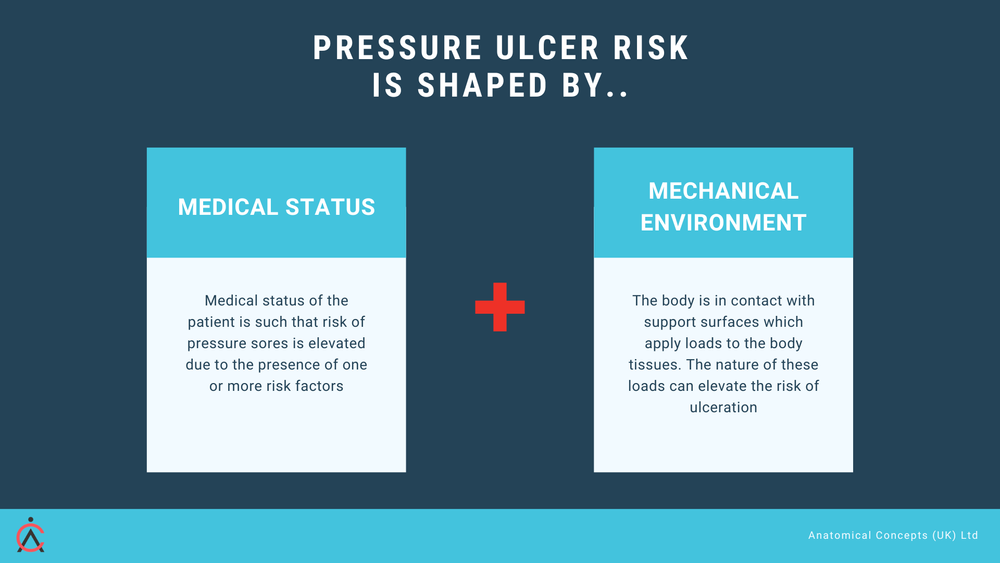 Prevention of Pressure Ulcers — Anatomical Concepts