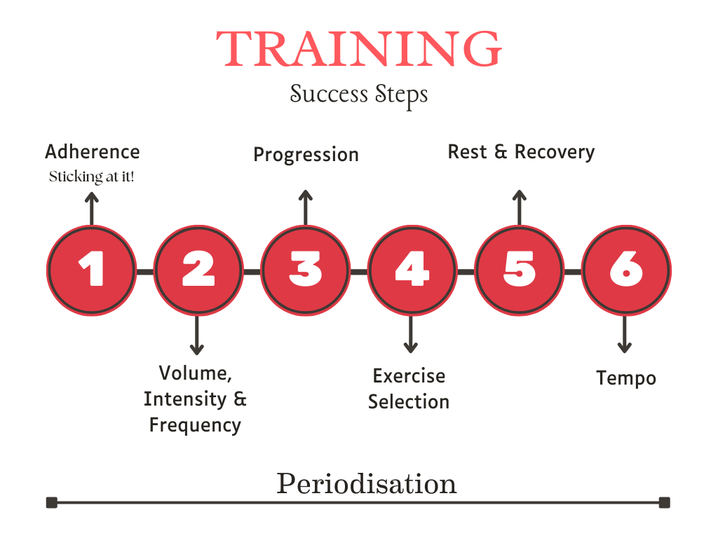 Rehab & Training Part 2 - The Dose — Anatomical Concepts