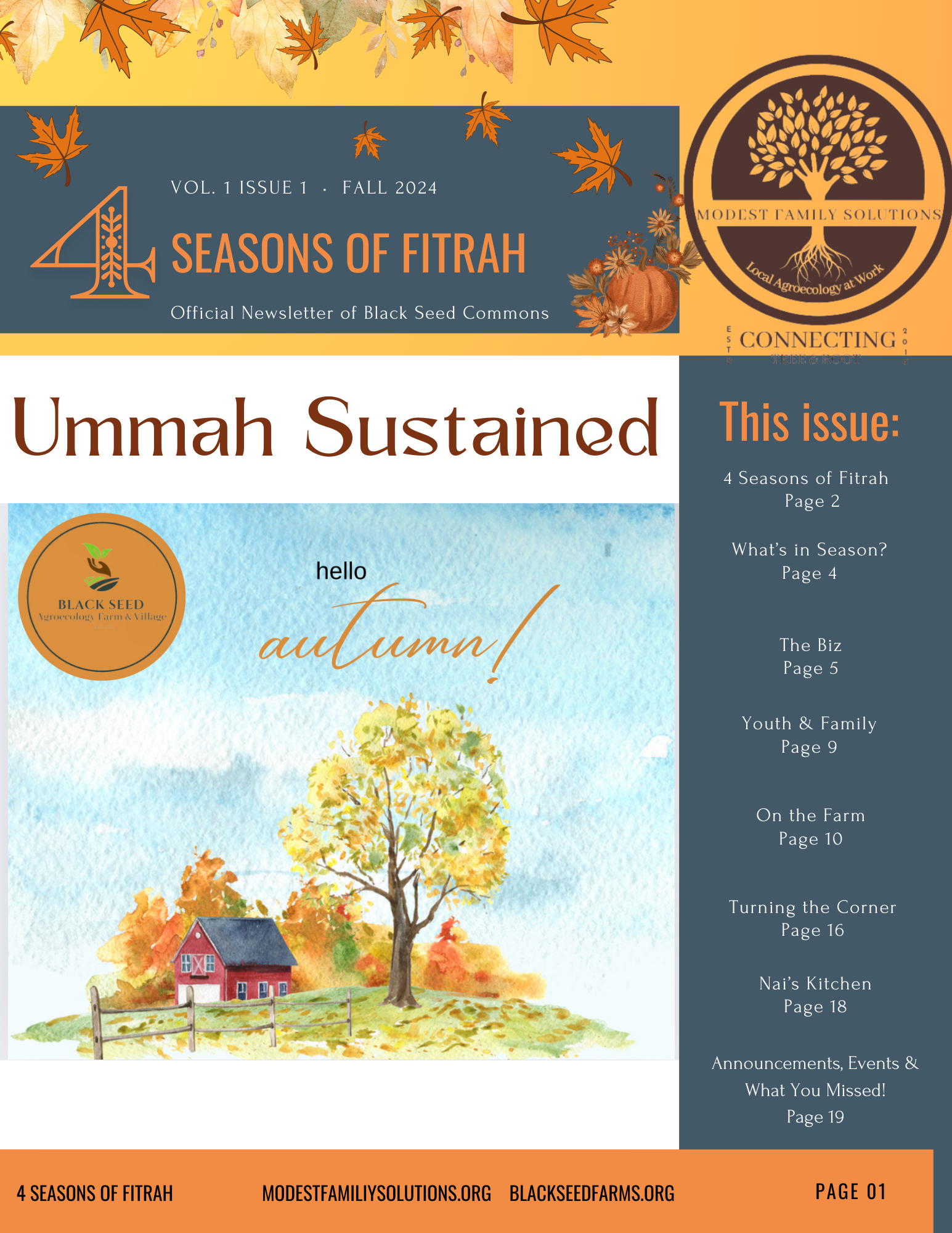 Modest Family Solutions