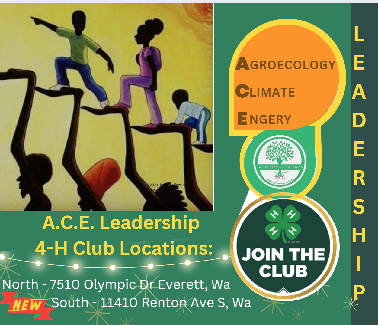 Modest Family Solutions