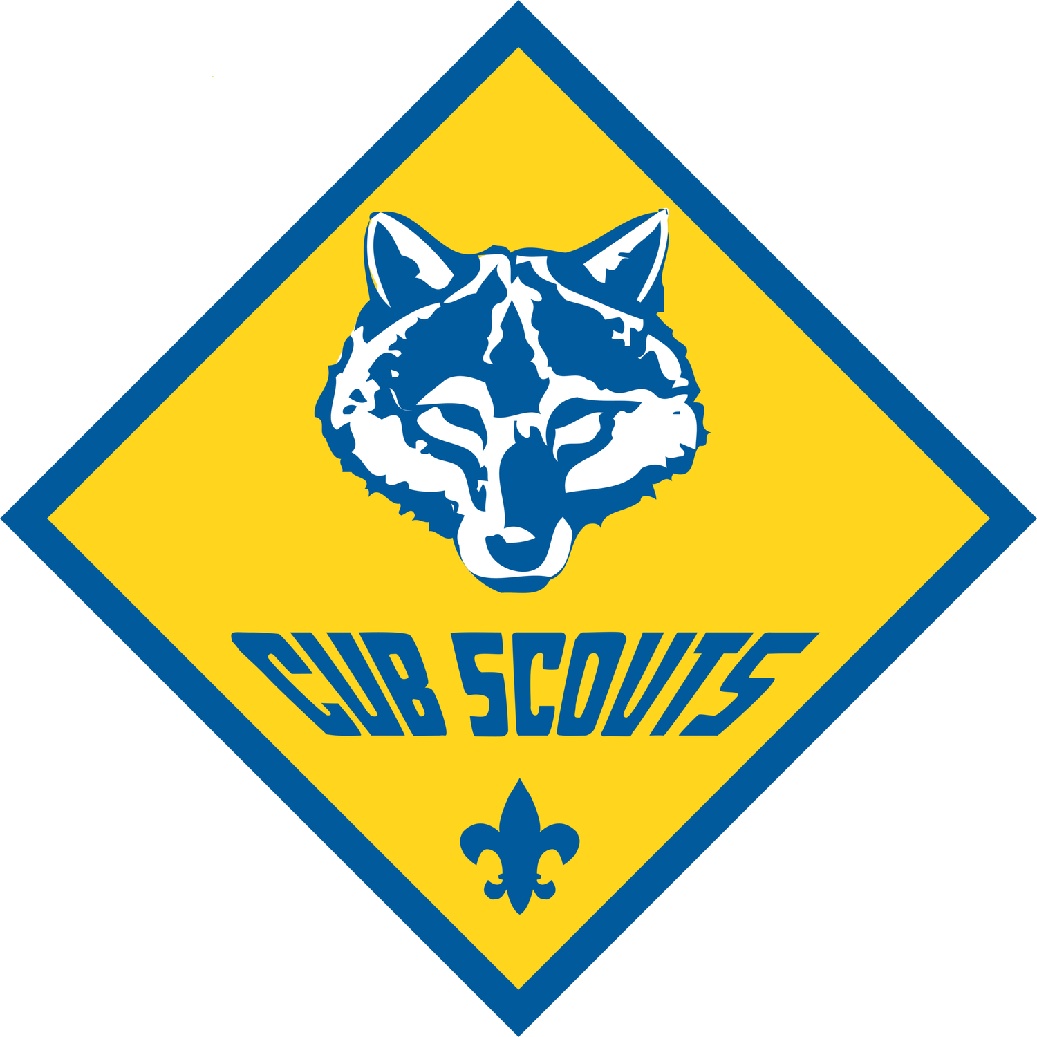 CUB SCOUT PACK 61