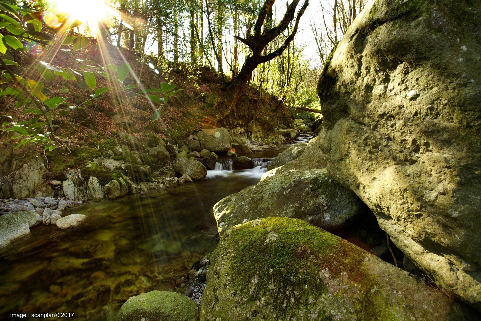 Mahon River — Scan PLAN