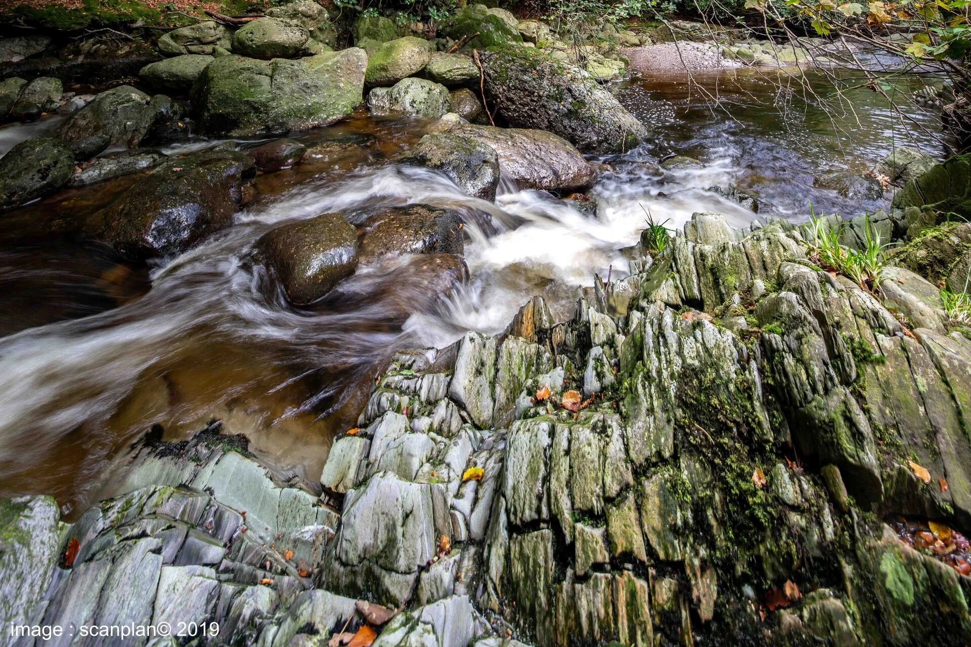 Mahon River — Scan PLAN