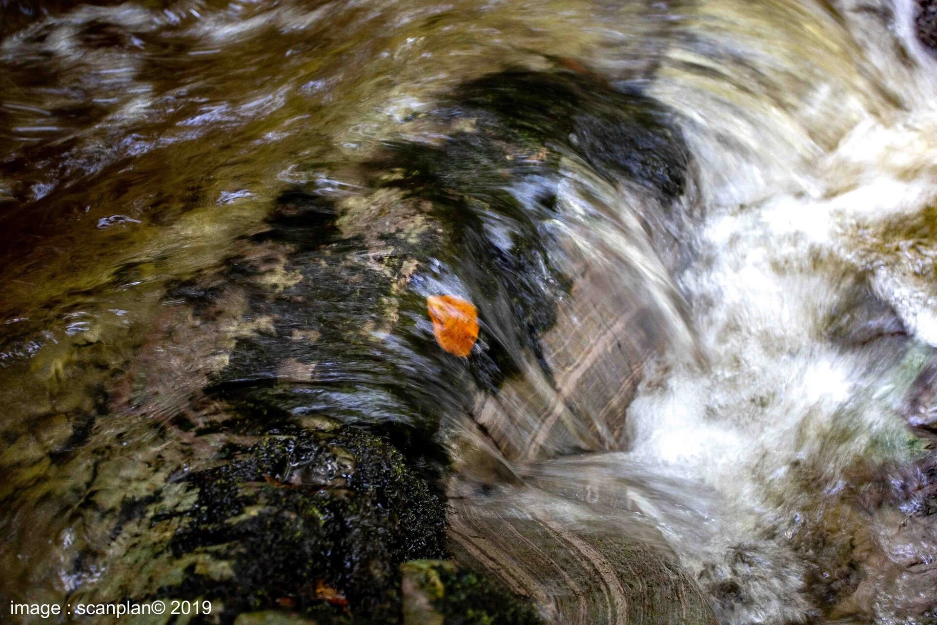 Mahon River — Scan PLAN