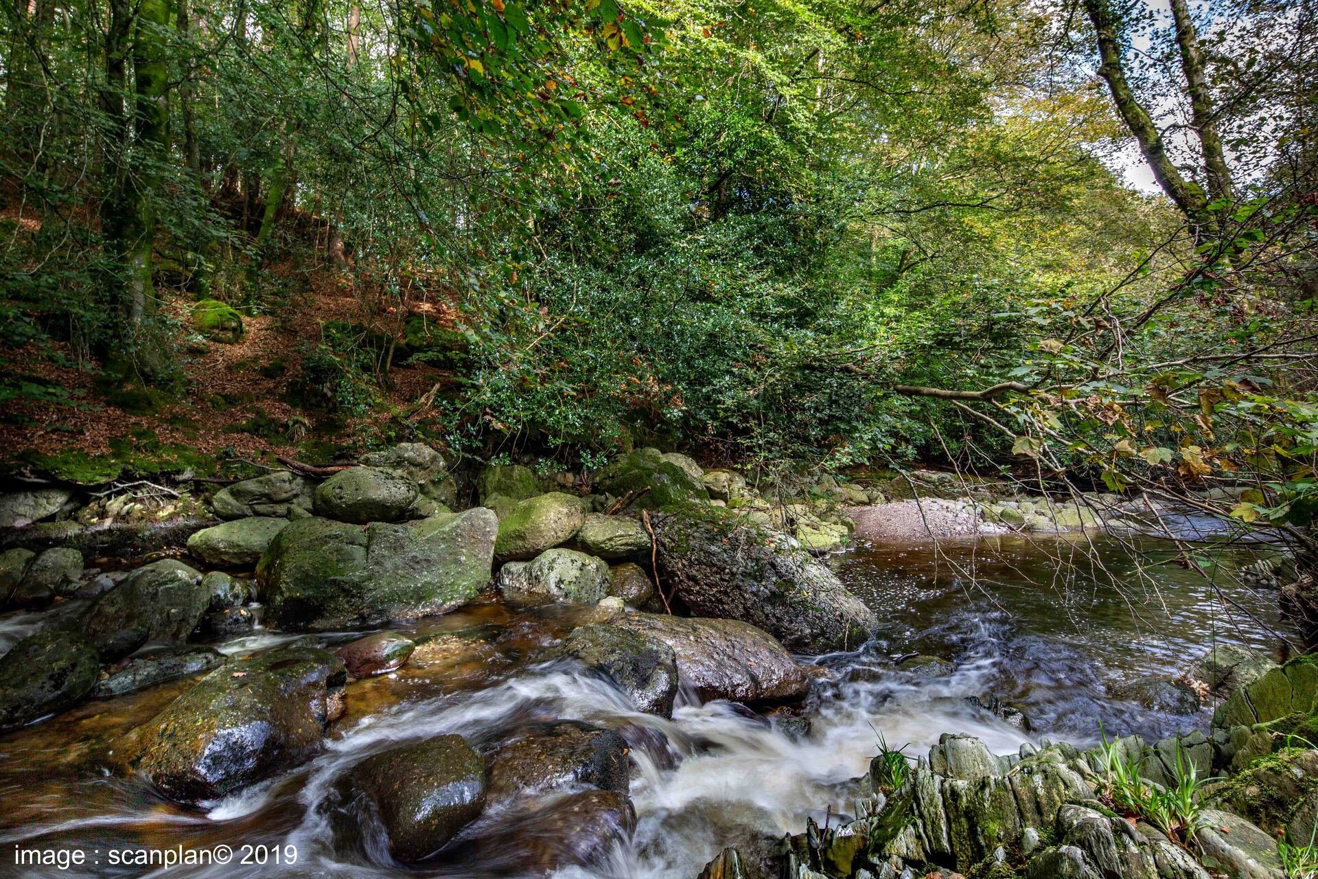 Mahon River — Scan PLAN