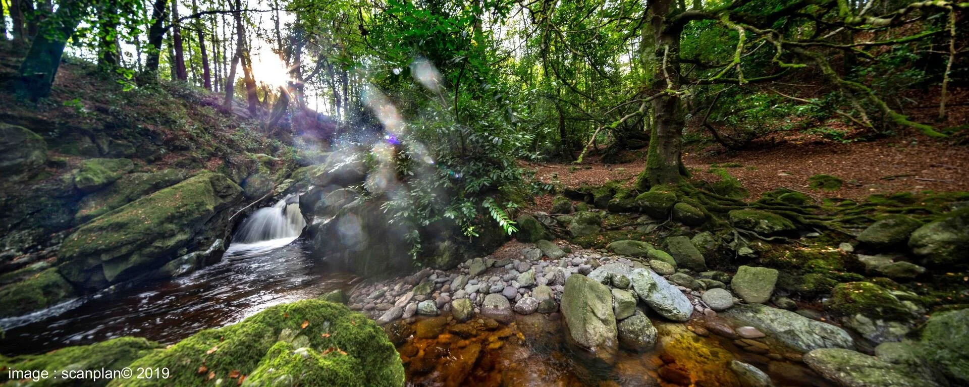 Mahon River — Scan PLAN