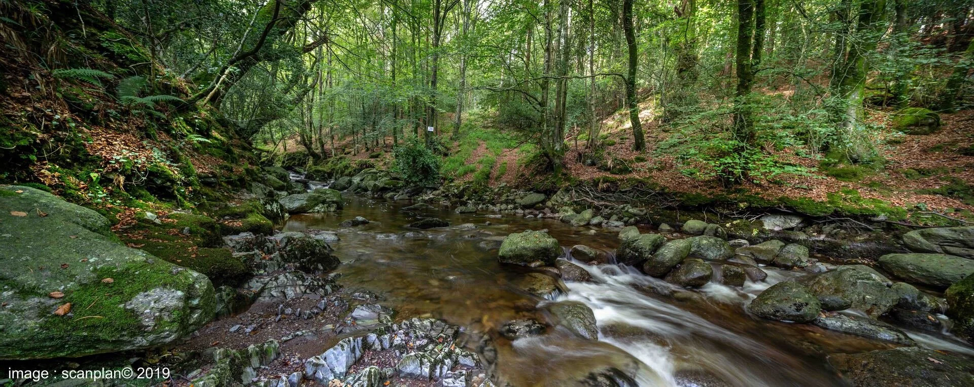 Mahon River — Scan PLAN