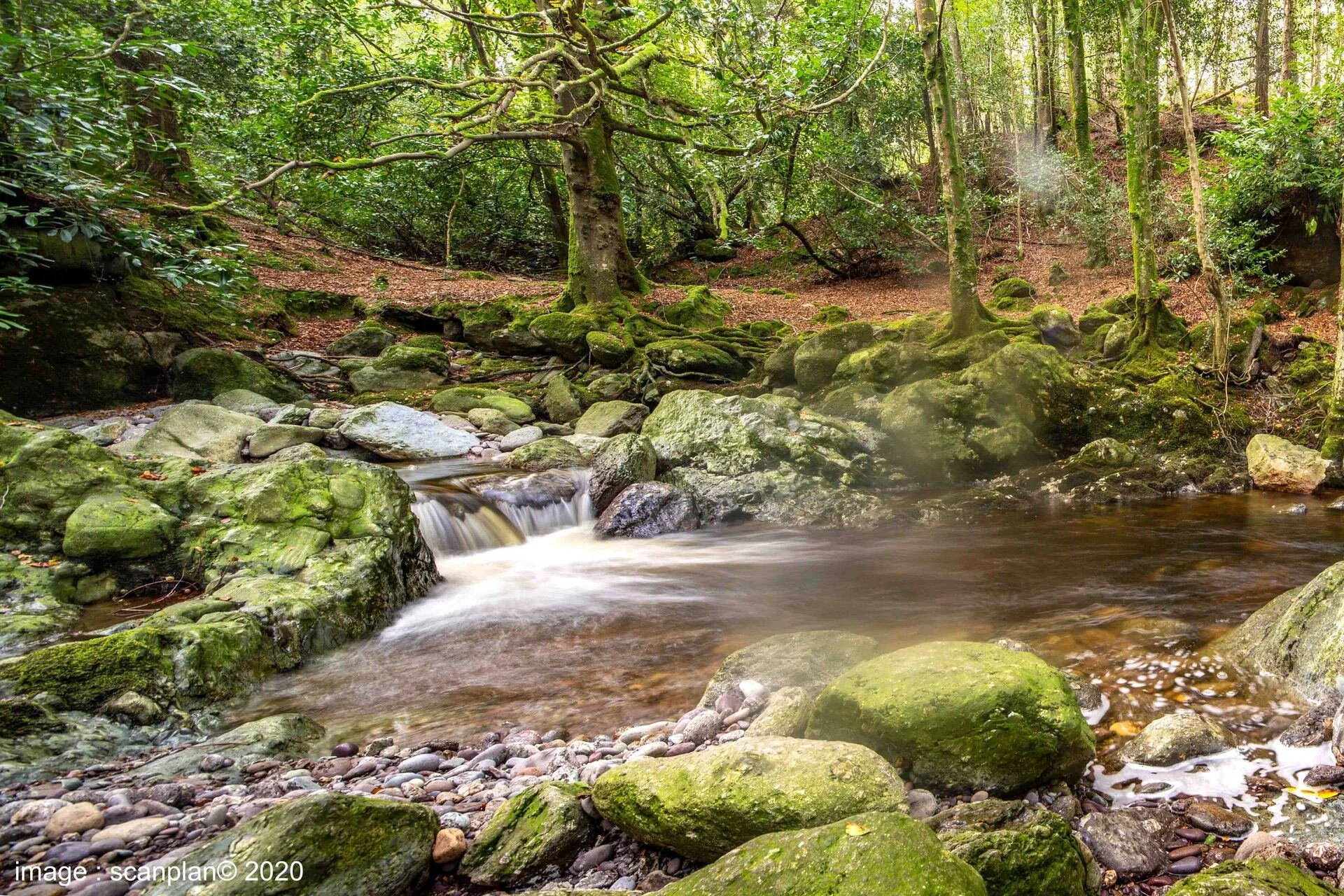 Mahon River — Scan PLAN