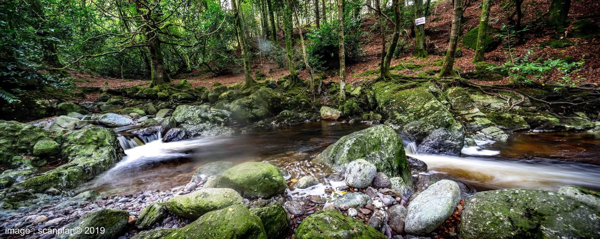 Mahon River — Scan PLAN