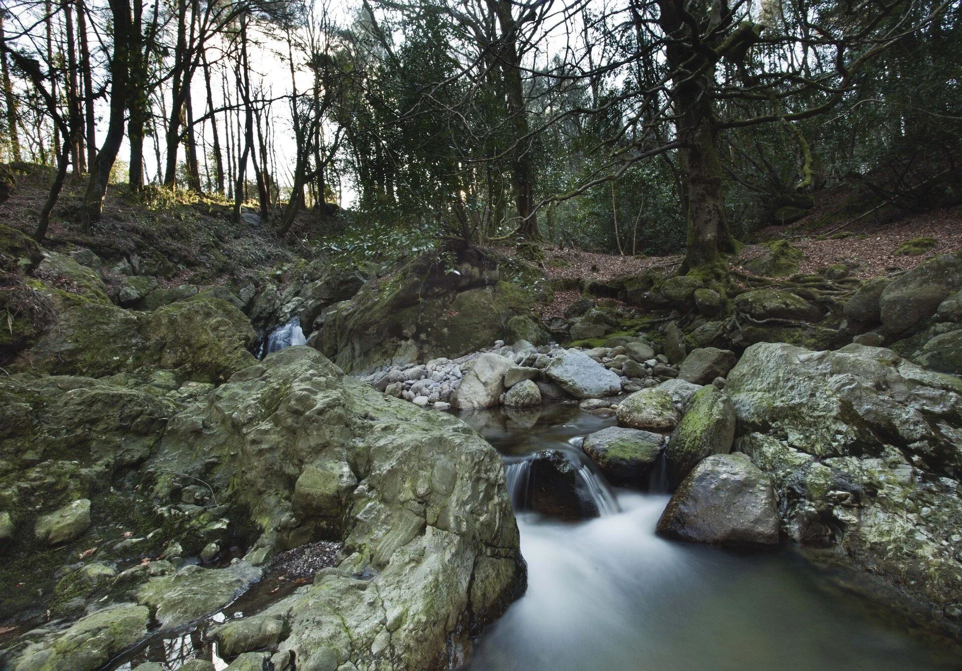 Mahon River — Scan PLAN