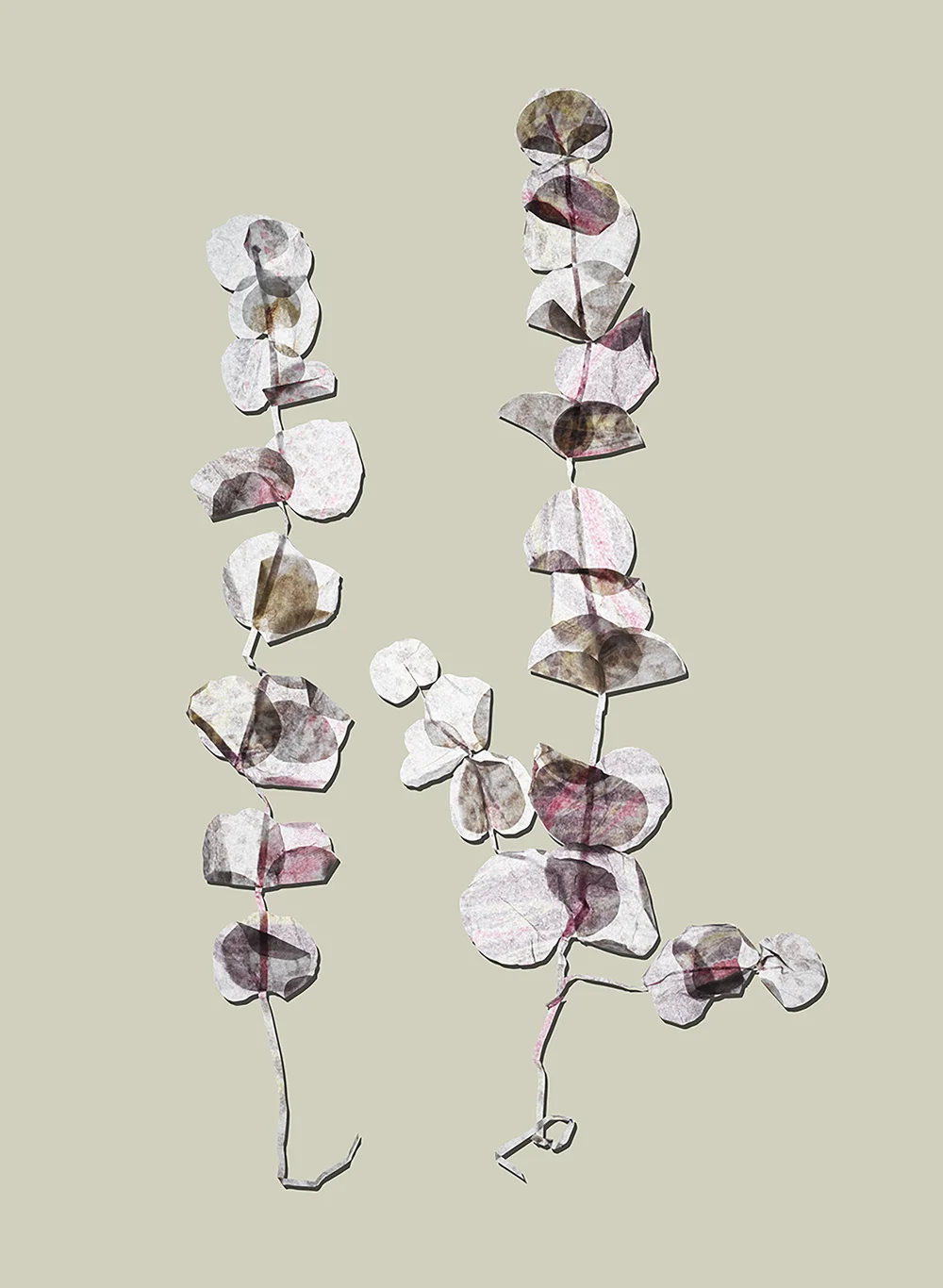 Flower Paper Flower — Sandy Suffield — Art Direction and Set Design