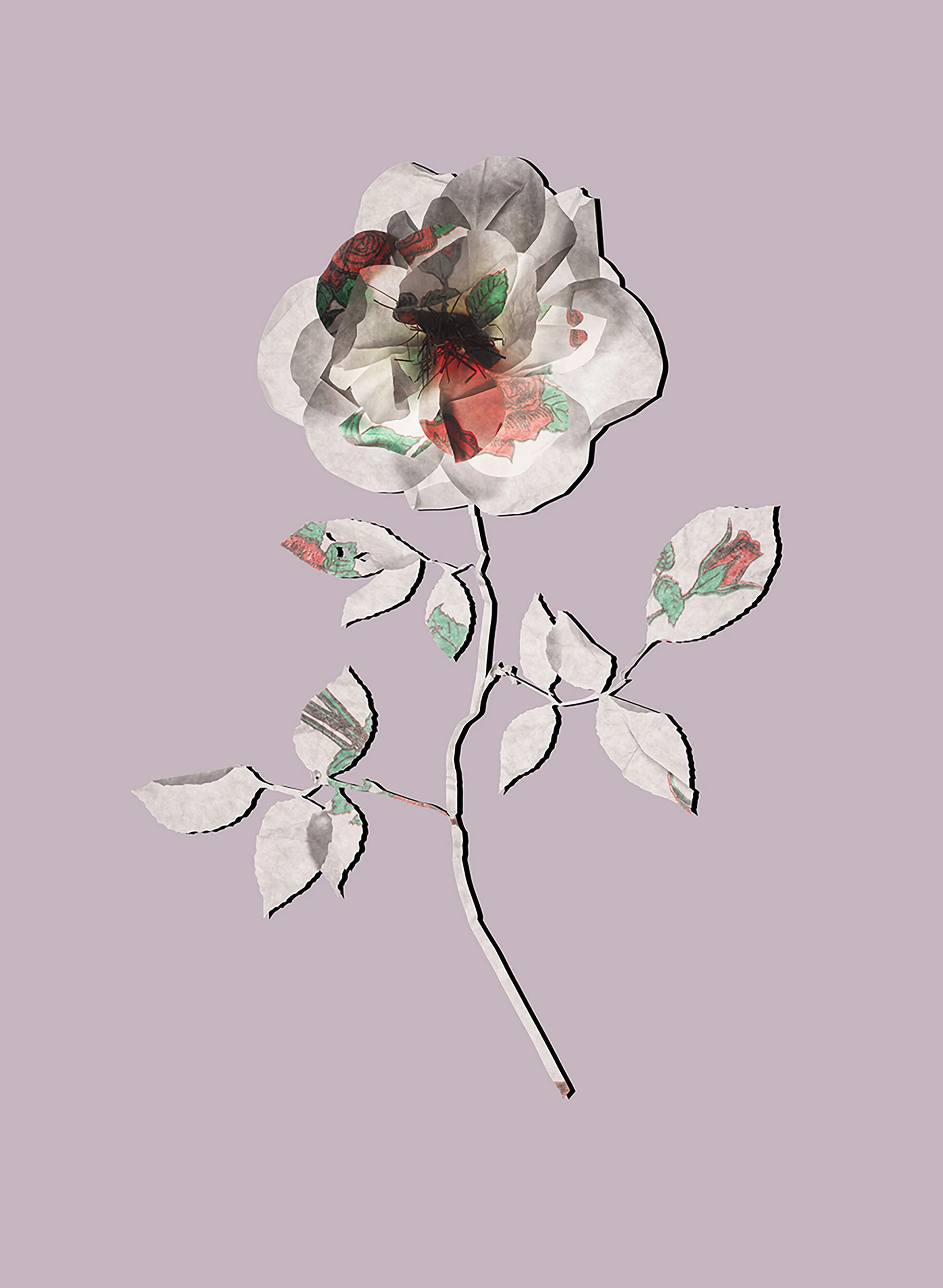 Flower Paper Flower — Sandy Suffield — Art Direction and Set Design