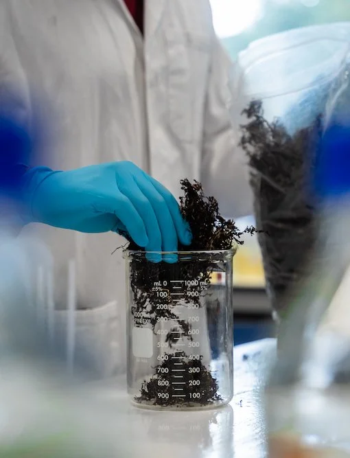 kelpi | taking the plastic out of packaging