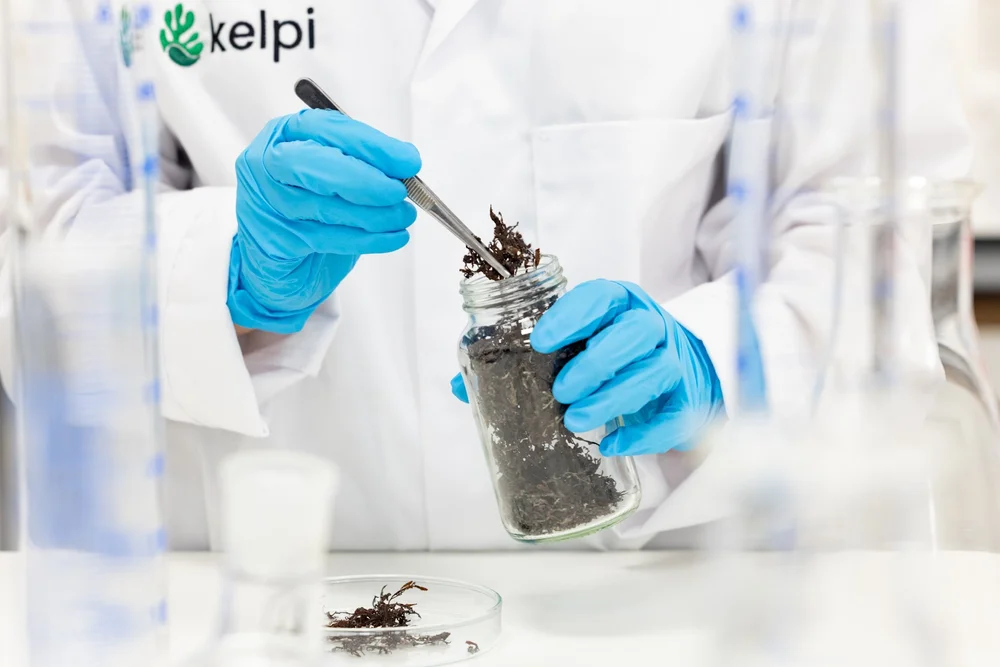 Our manifesto — kelpi