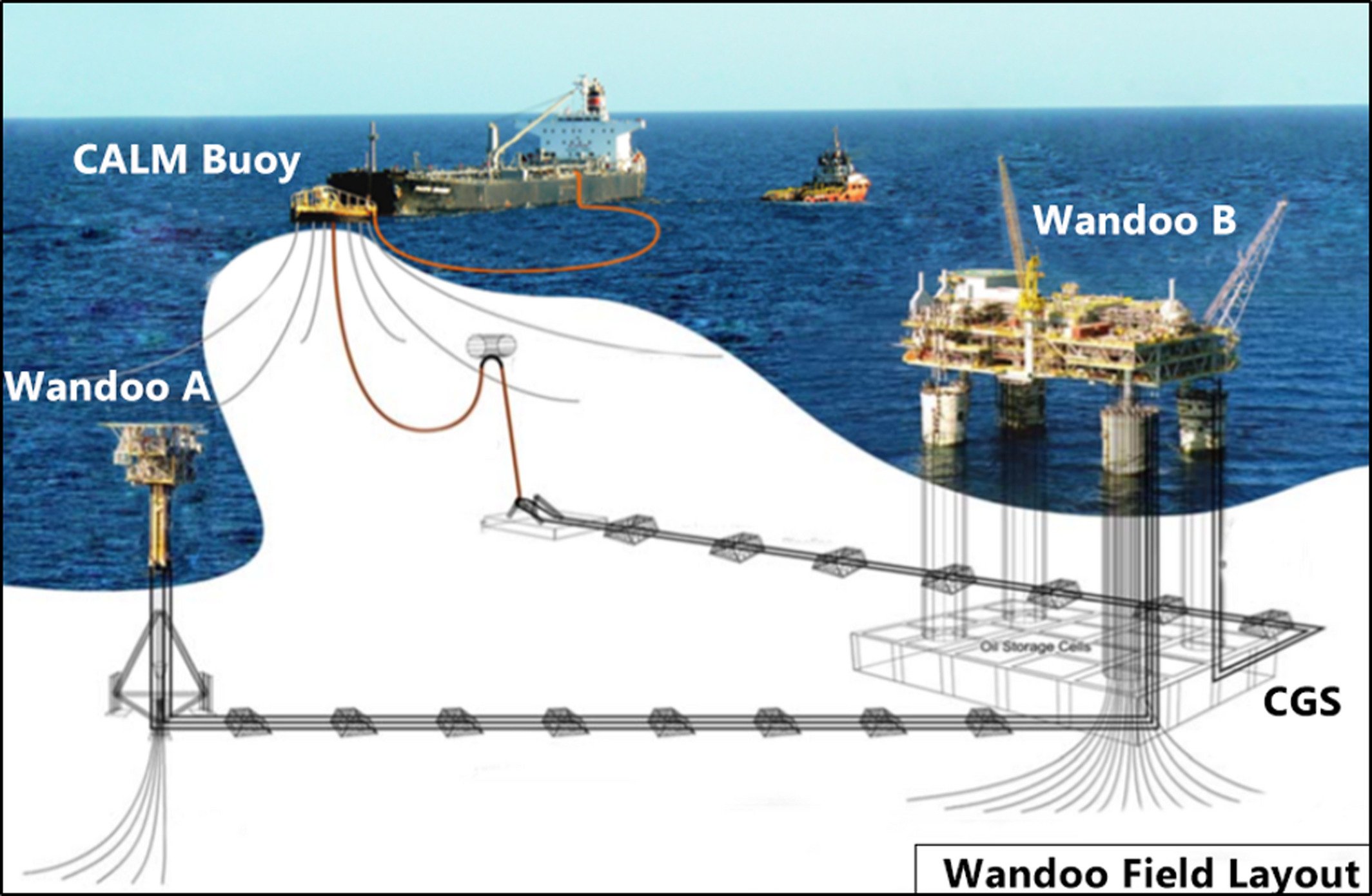 Offshore platforms as novel ecosystems: A case study from Australia’s ...