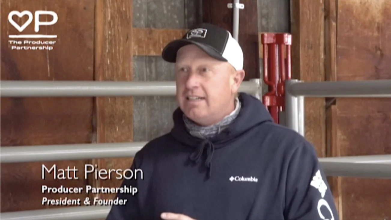 Media — The Producer Partnership