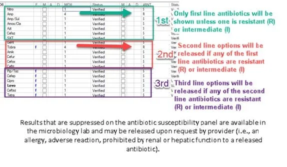 Cascade Reporting — Putter