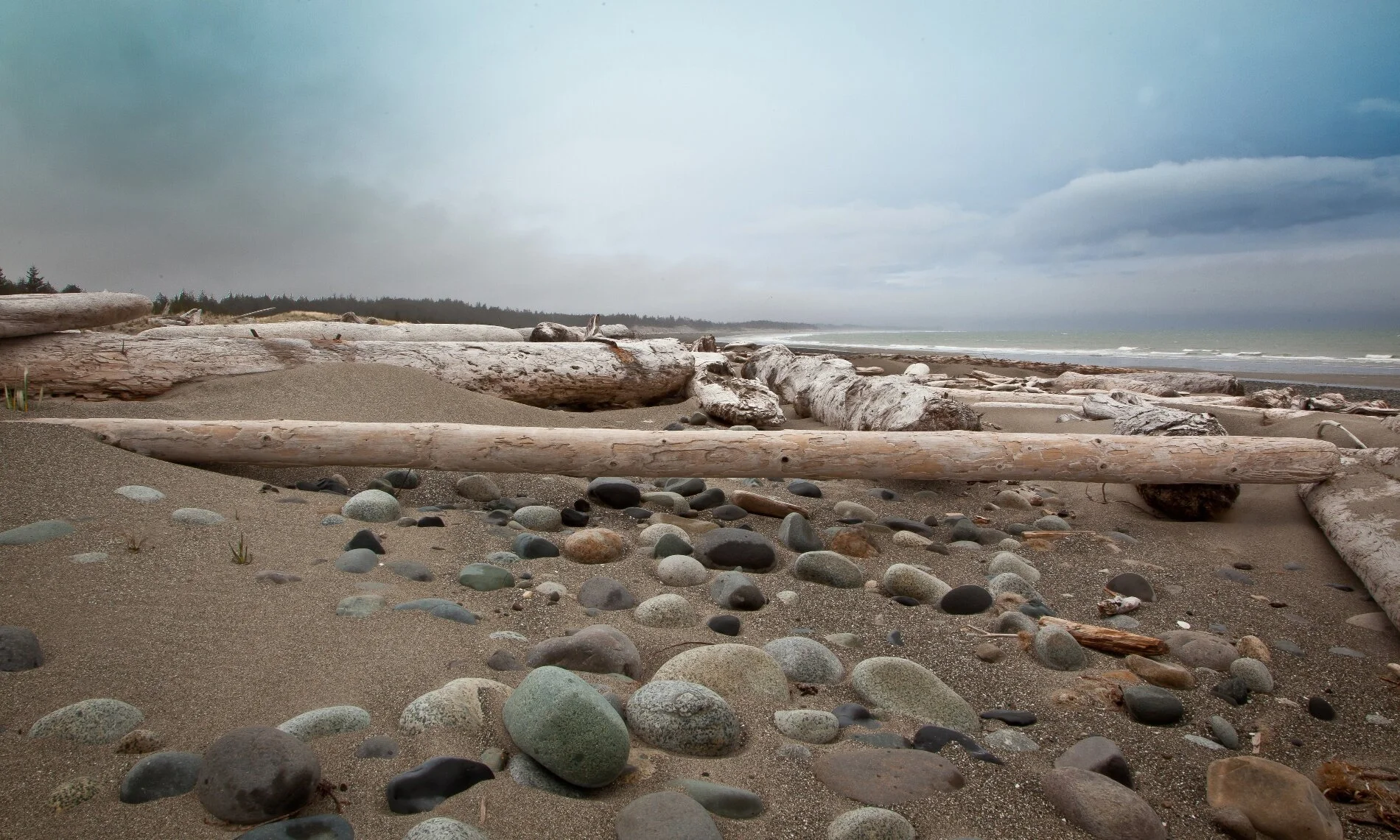 Ocean View Cabins | Haida House — Haida Tourism