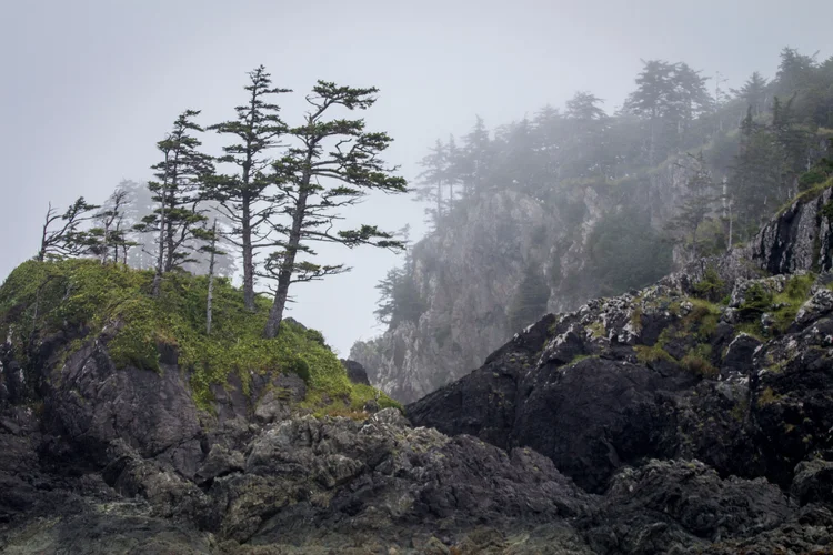 How to get to Haida Gwaii — Haida Tourism