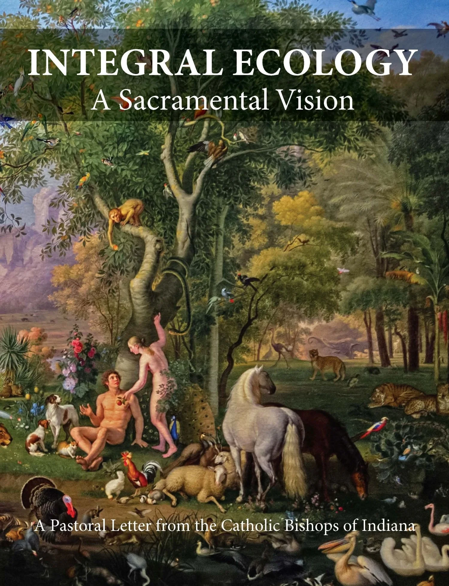 Integral Ecology: A Sacramental Vision — Indiana Catholic Conference