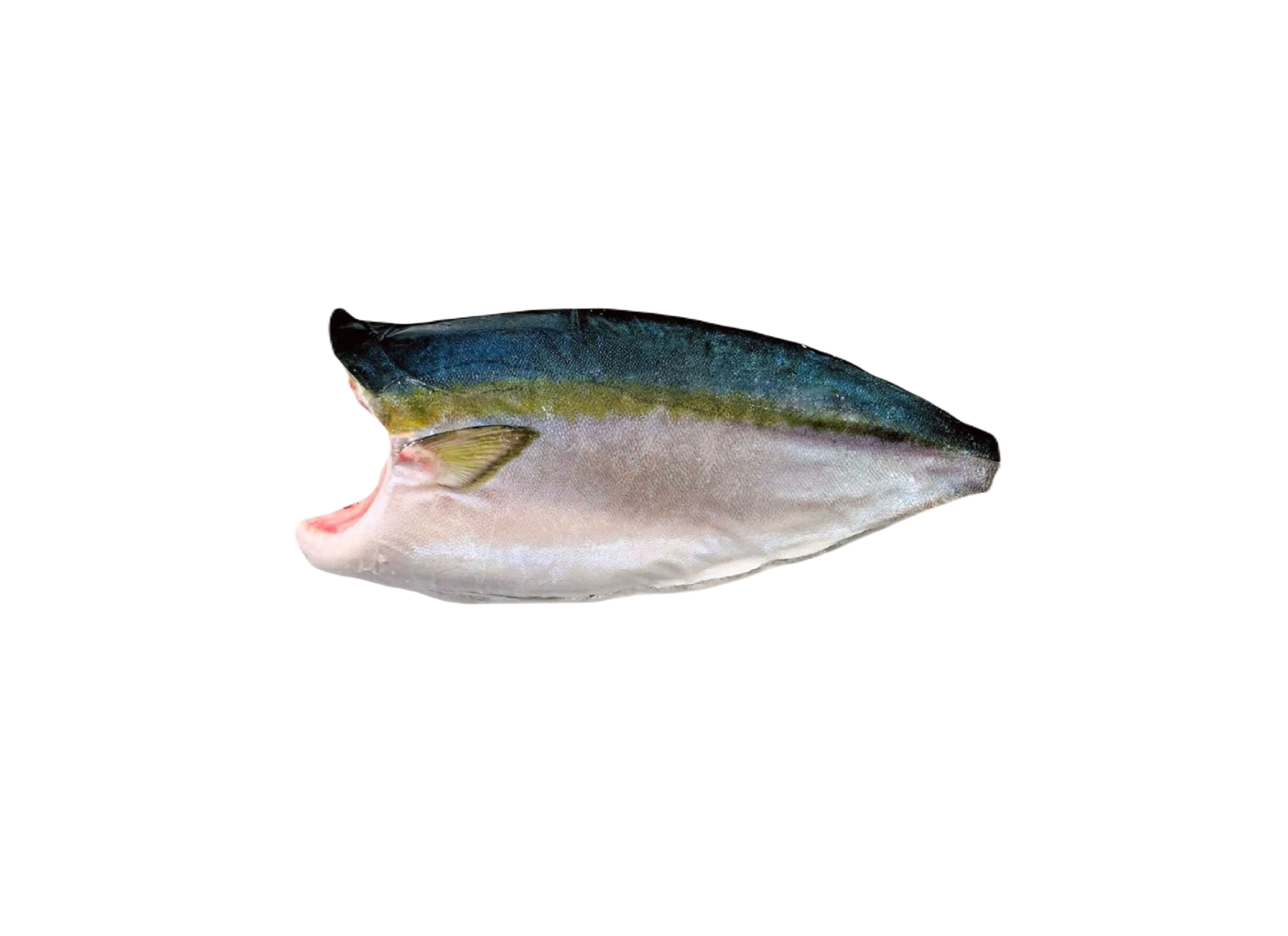 International Marine Products