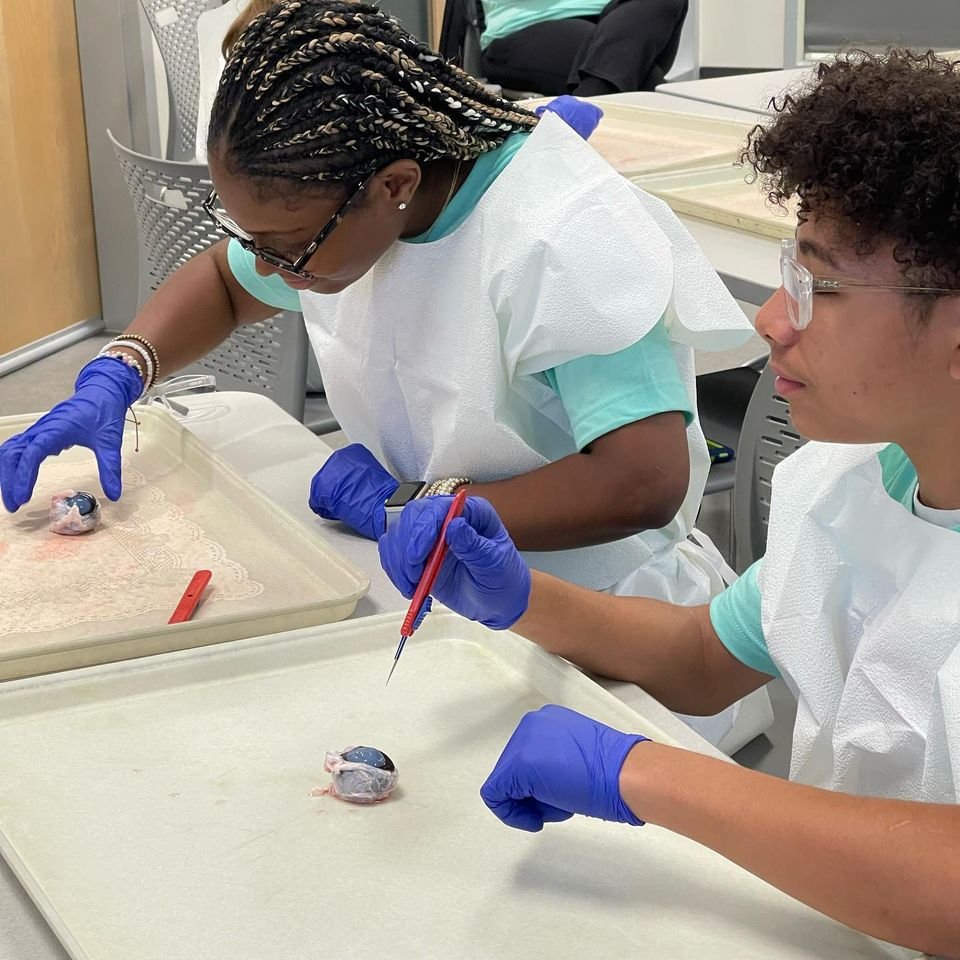 ECI AHEC — Indiana AHEC Network