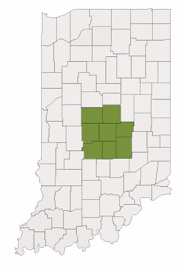 Regional Centers — Indiana AHEC Network