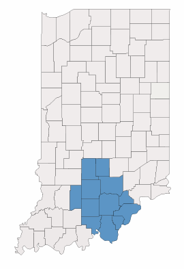 Regional Centers — Indiana AHEC Network