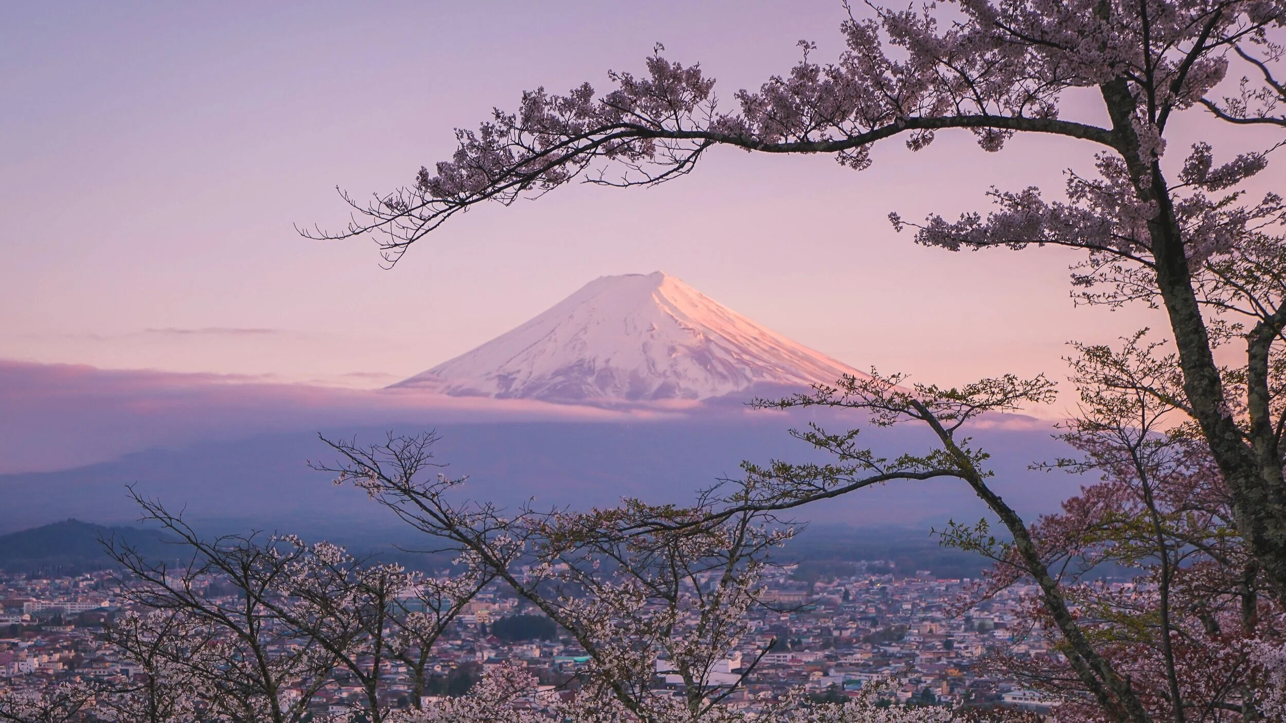 Travel with Purpose — wondertrunk & co.