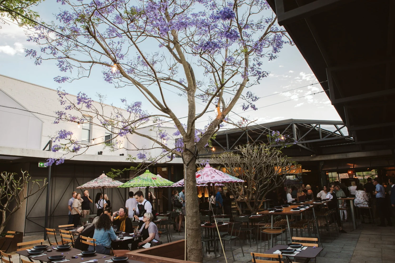 Emily Taylor — Warders Hotel - Fremantle